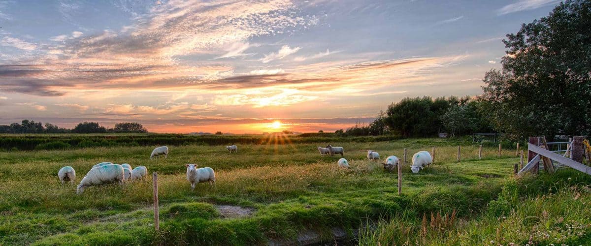 Rural Disaster Risk Decision-making - Resilience to Nature's Challenges